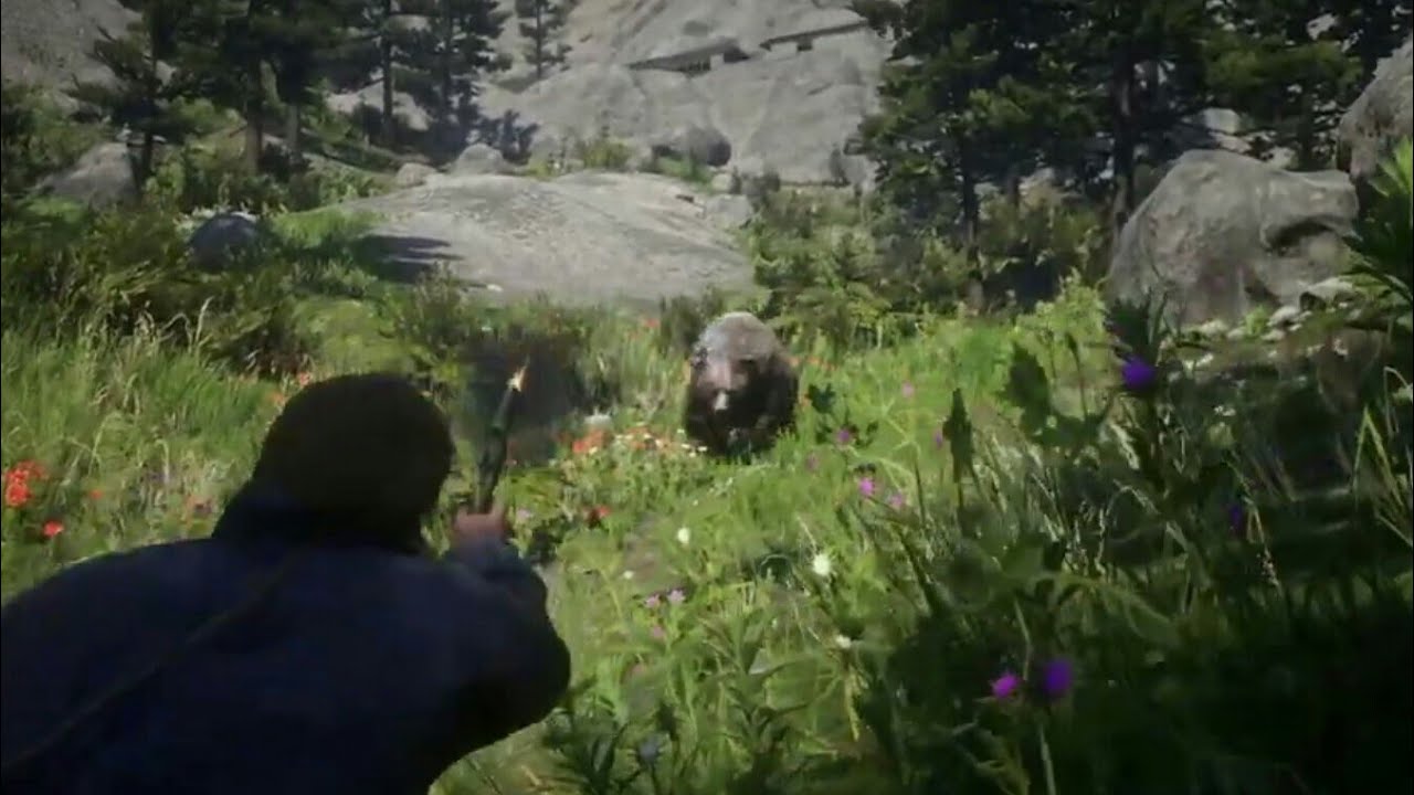Red Dead Redemption 2 (Cazando OSO legendario) - YouTube