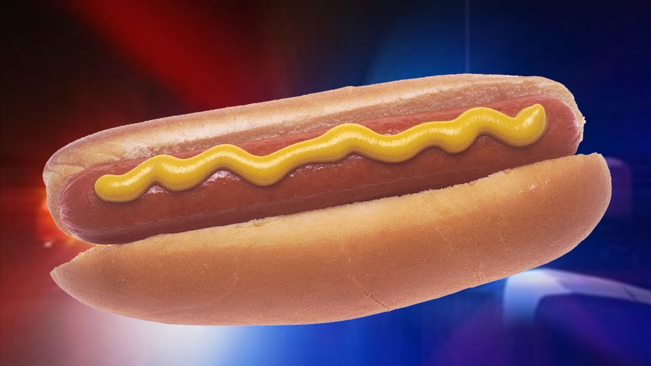 GTA IV : HOT DOG POLICE - YouTube