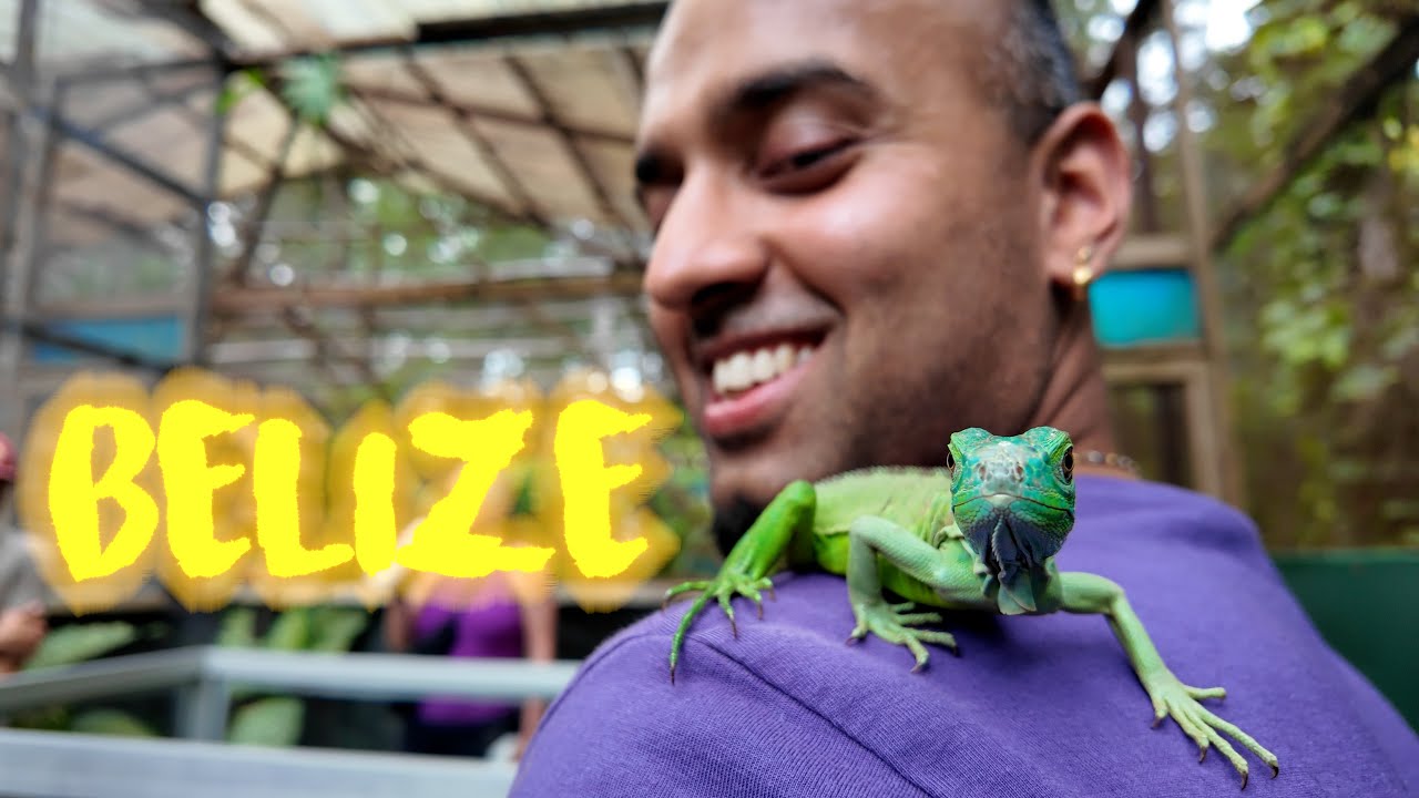 Exploring Belize in 4K | UnBelizeable Adventures | Snorkeling, River ...