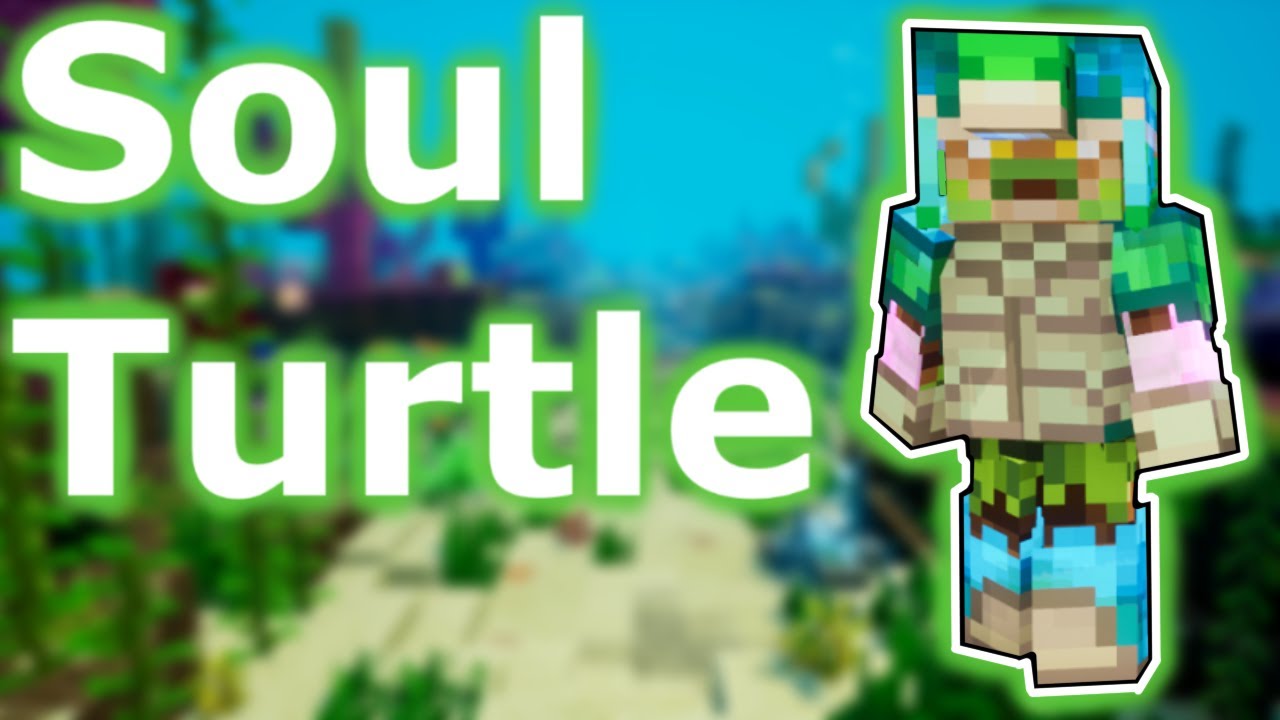 Build Showcase - Soul Turtle (Soul Fist / Melee Build) - YouTube