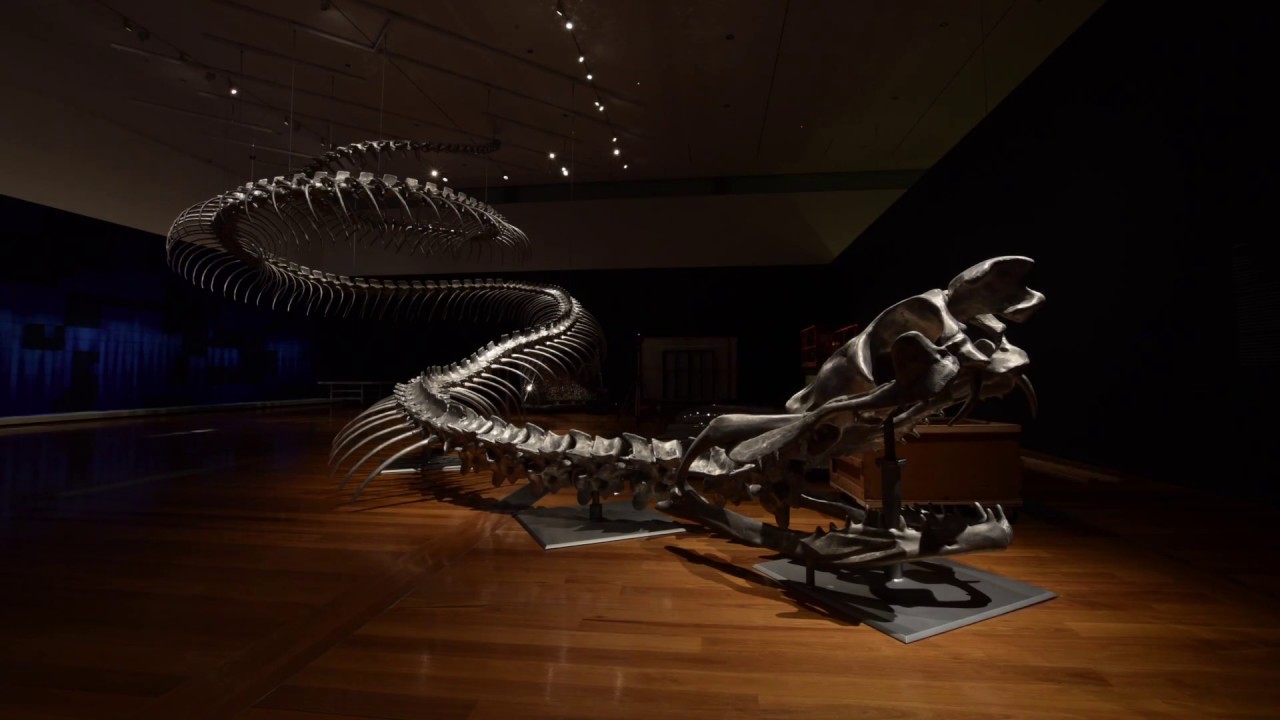 Watch as we install Huang Yong Ping's snake 'Ressort' - YouTube