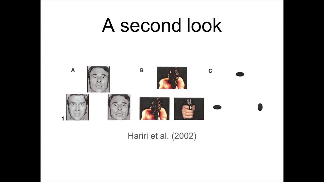 Tal Yarkoni Ph.D. - Thinking Latent: Construct-measure confusion ...