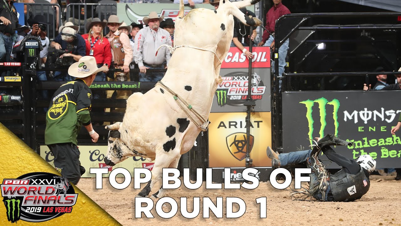 WORLD FINALS: Top Bulls of Round 1 | 2019 - YouTube