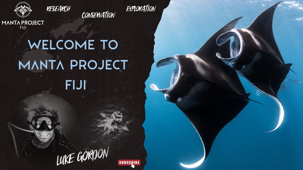 Welcome to Manta Project Fiji - YouTube