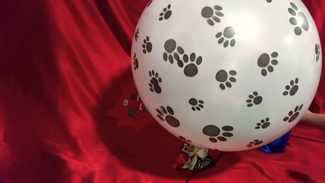 ANIMAL PRINT BALLOONS POP!!! - YouTube