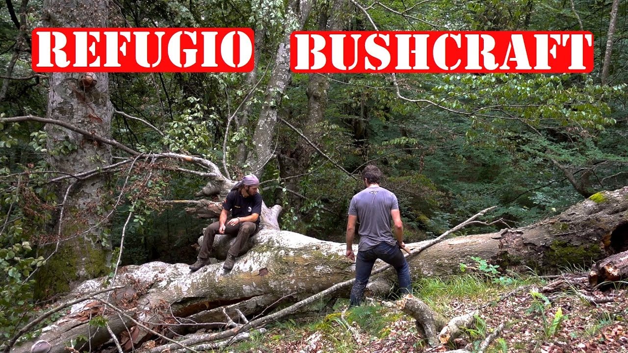 Construcción De Refugio Permanente En El Bosque - Parte 1 - YouTube