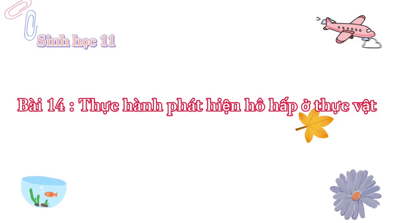 1234567898 - YouTube