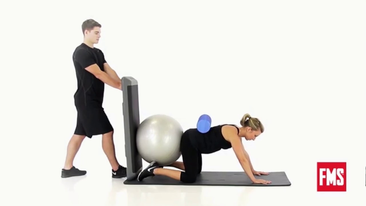 Quadruped Rock with Core Activation - YouTube