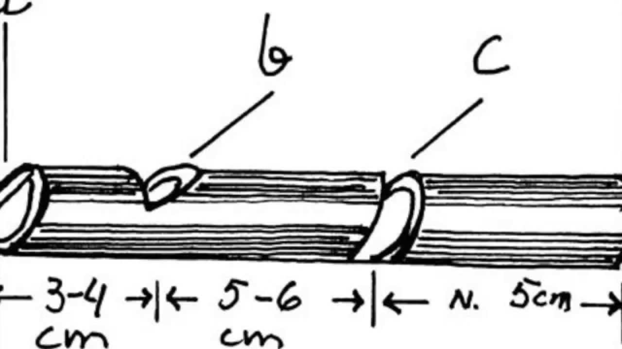 Aila Heikkilä: Pajupilli - YouTube
