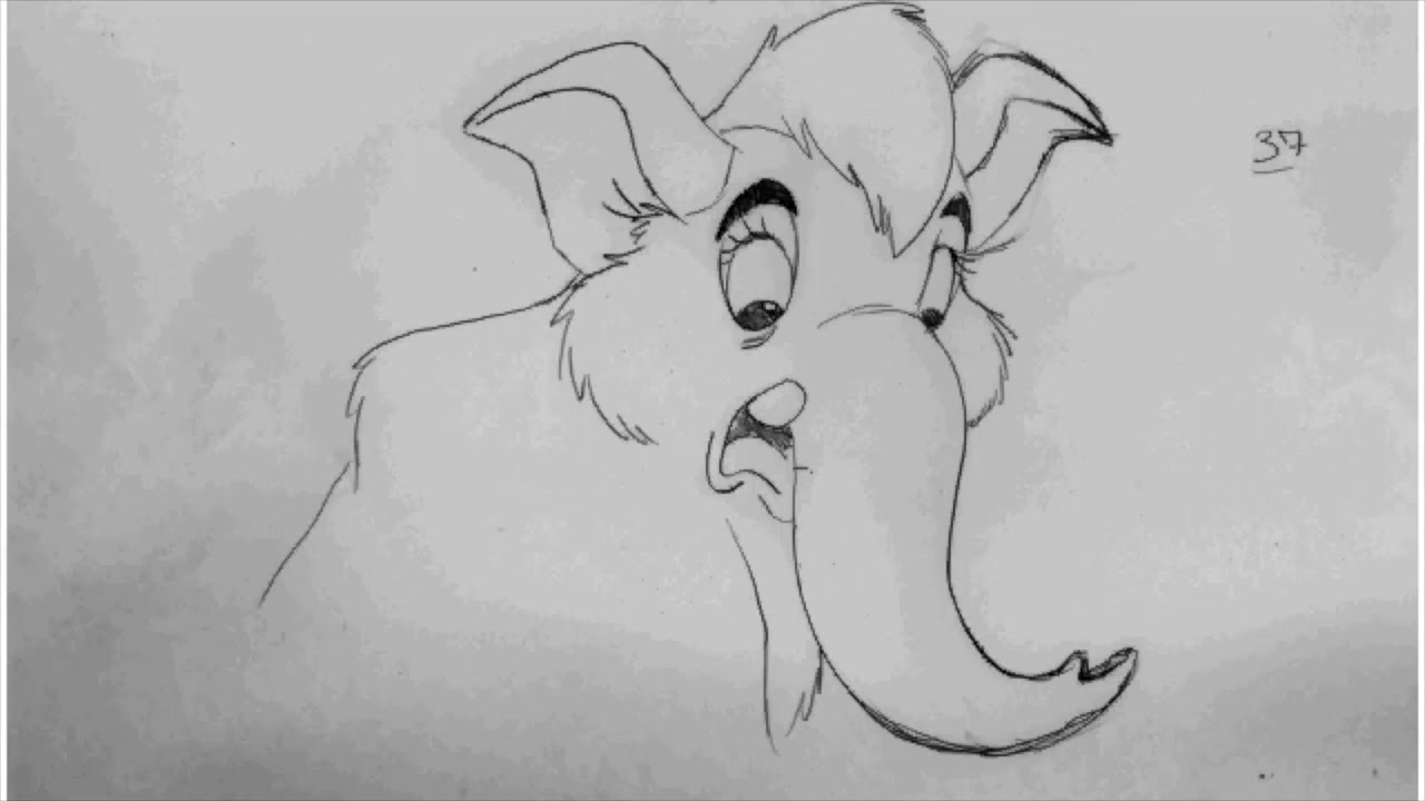 Camryn Perry 2D Animation Demo Reel - YouTube