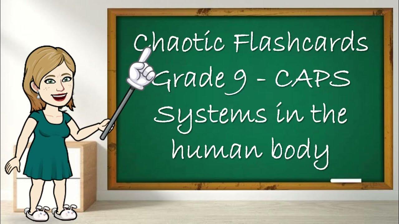 Flashcards - Systems in the human body Grade 9 - YouTube