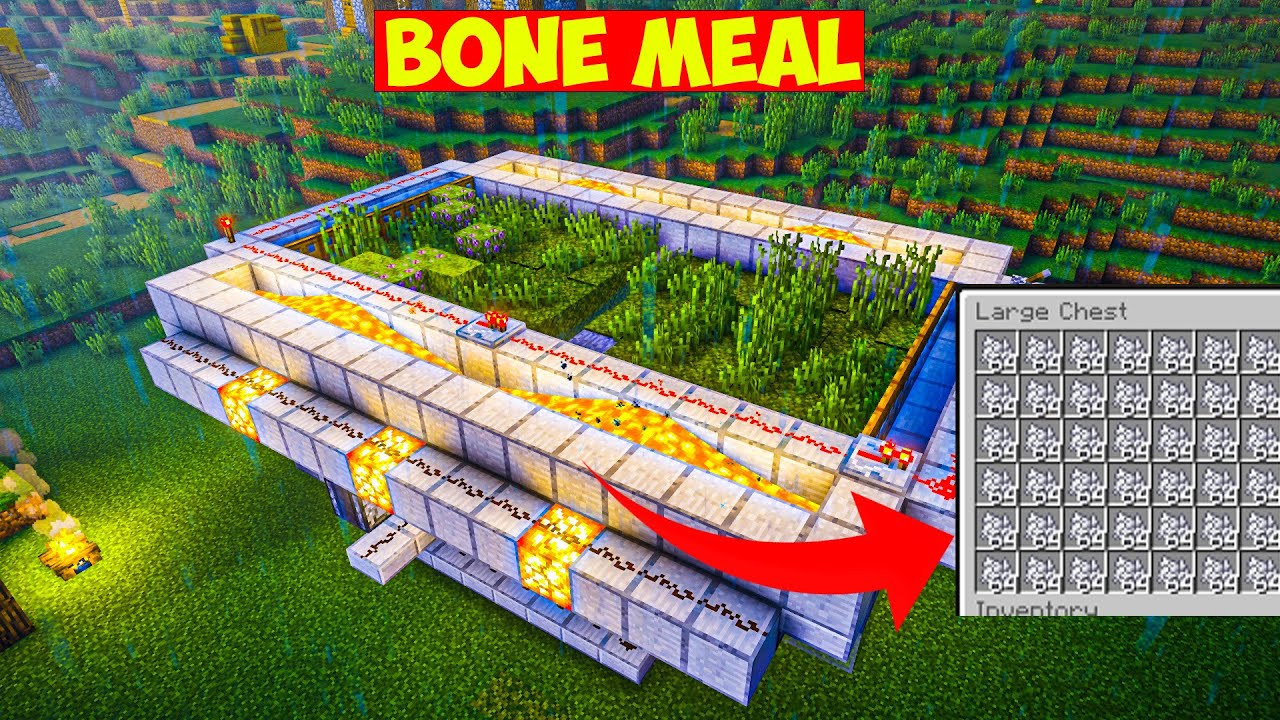 WHY I MAKE BONE MEAL FARM IN MINECRAFT! #2 - YouTube