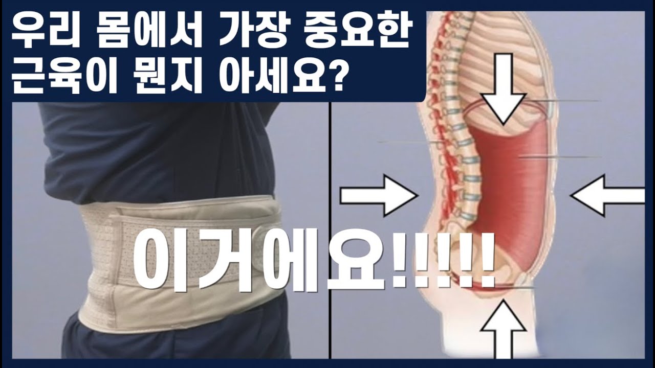 들어는 봤는데 뭔지 모르는 우리 몸에 제일 중요한 코어 근육 4가지ㅣ코어근육 코어운동 목통증 허리통증ㅣ Youtube