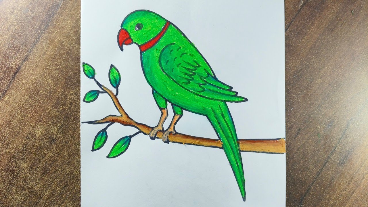 Easy Parrot drawing 🦜 | step by step Parrot drawing - YouTube