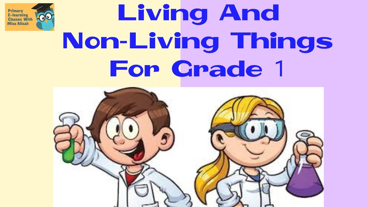 Science: Living And Non living Things for Grade 1 - YouTube