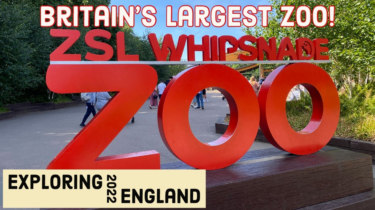 Whipsnade Zoo, Britain's Largest Zoo | Dunstable | England - YouTube