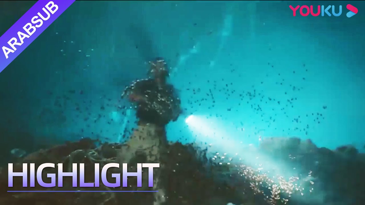 "غزو النحل القاتل"｜Killer Bee Invasion｜واجه الرجل سرب النحل السام ...