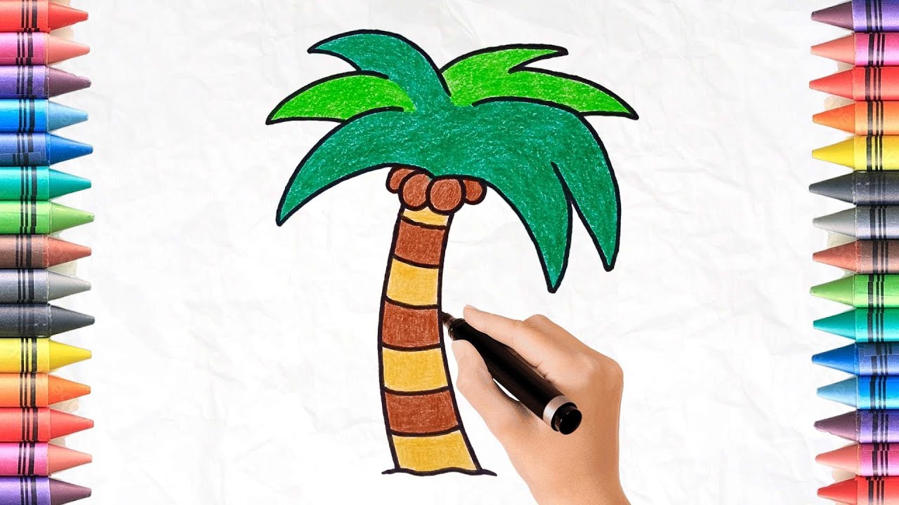 Coconut Tree 🌴 Drawing and Coloring for kids | How to Draw Coconut Tree ...