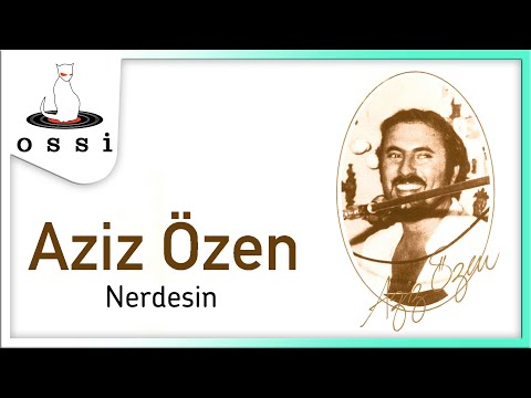 Aziz Özen - Nerdesin