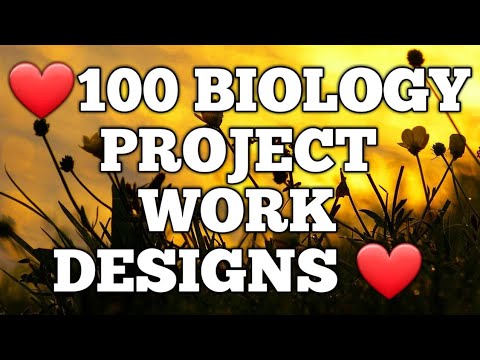 100 Biology Project Work Designs |Biology Border Designs For Project ...