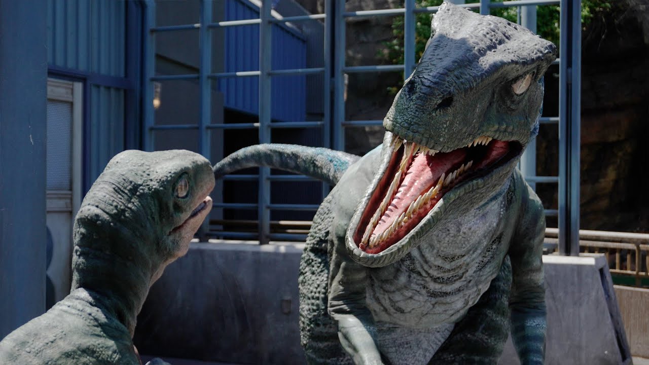 Baby Raptor and Blue Raptor Meet At Jurassic World in Universal Studios ...