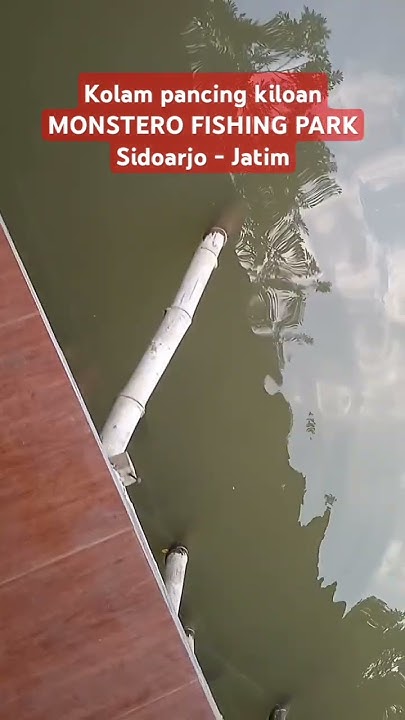 MONSTERO FISHING PARK.....salah satu destinasi tempat mancing ikan kiloan yang syahdu skali ...
