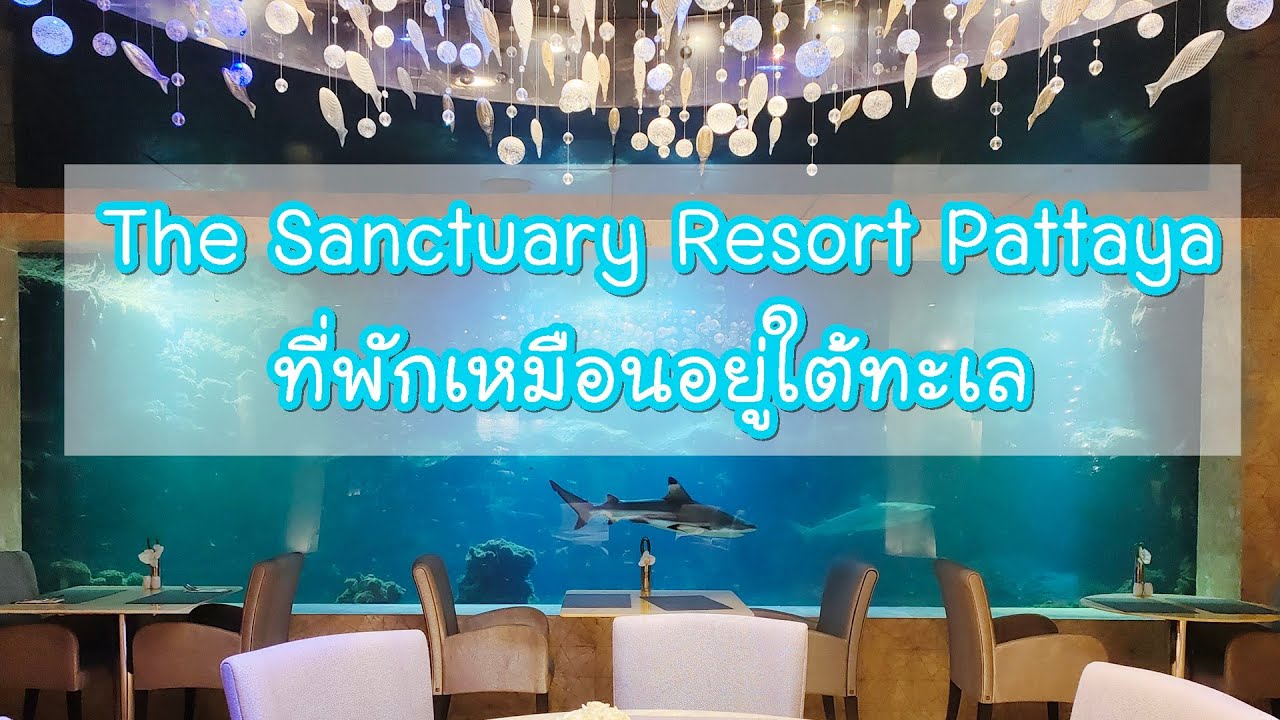 Review The Sanctuary Resort Pattaya - YouTube