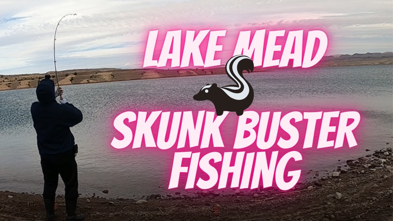 Skunk Buster Fishing | Going for 10 Pounders - YouTube