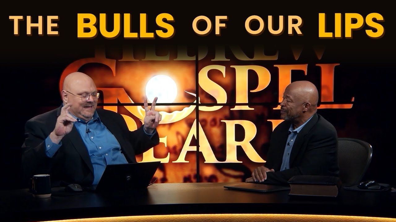 The Bulls of Our Lips - YouTube