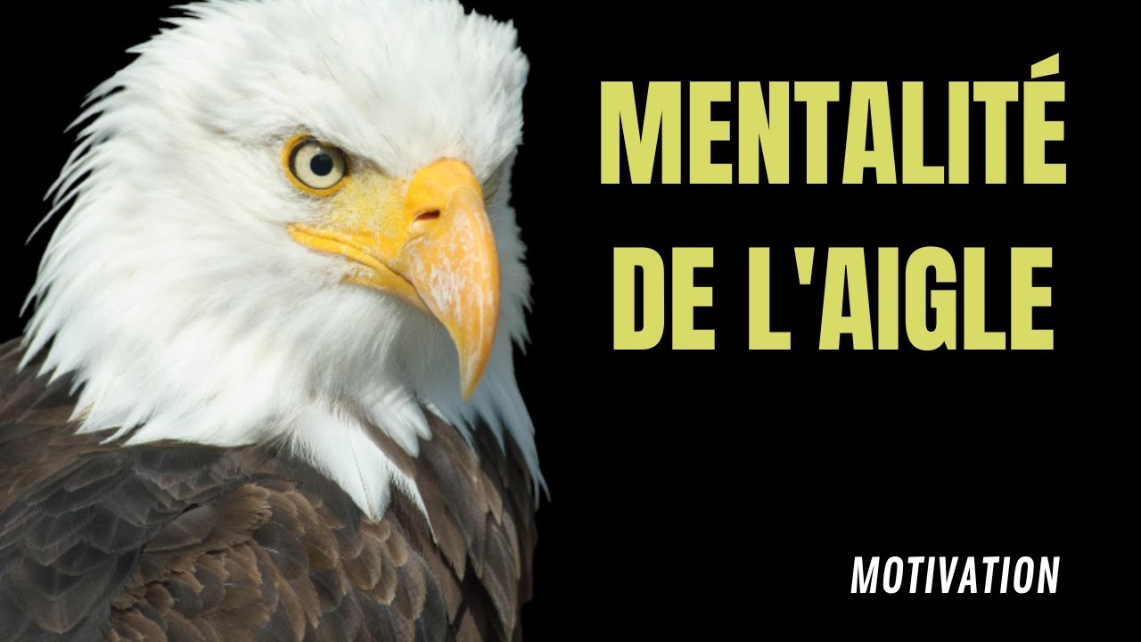 LA MENTALITÉ INSPIRANTE DE L'AIGLE : UNE LEÇON D'EXCELLENCE ET DE ...