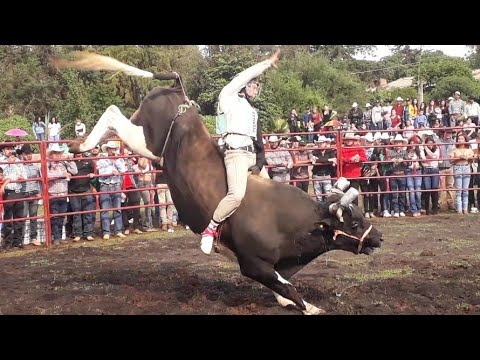 Torneo de Toros De Reparo en Zarate Mich - YouTube