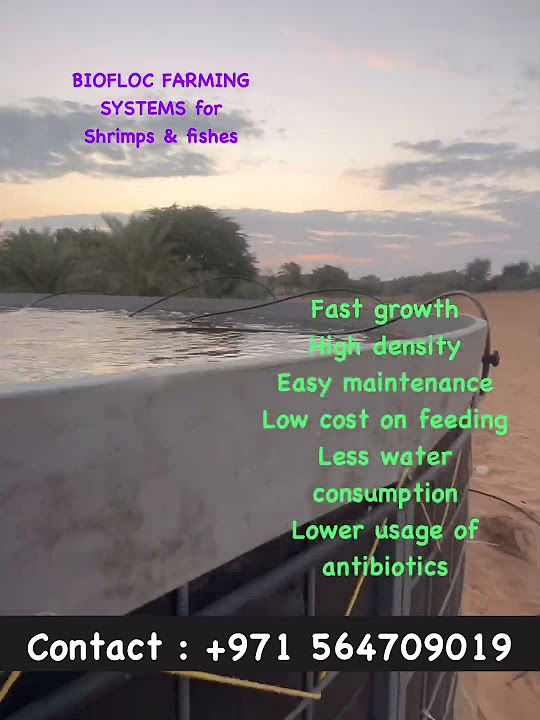 Biofloc farming systems for fish farming & shrimp culture @ AQUACULTURE ...