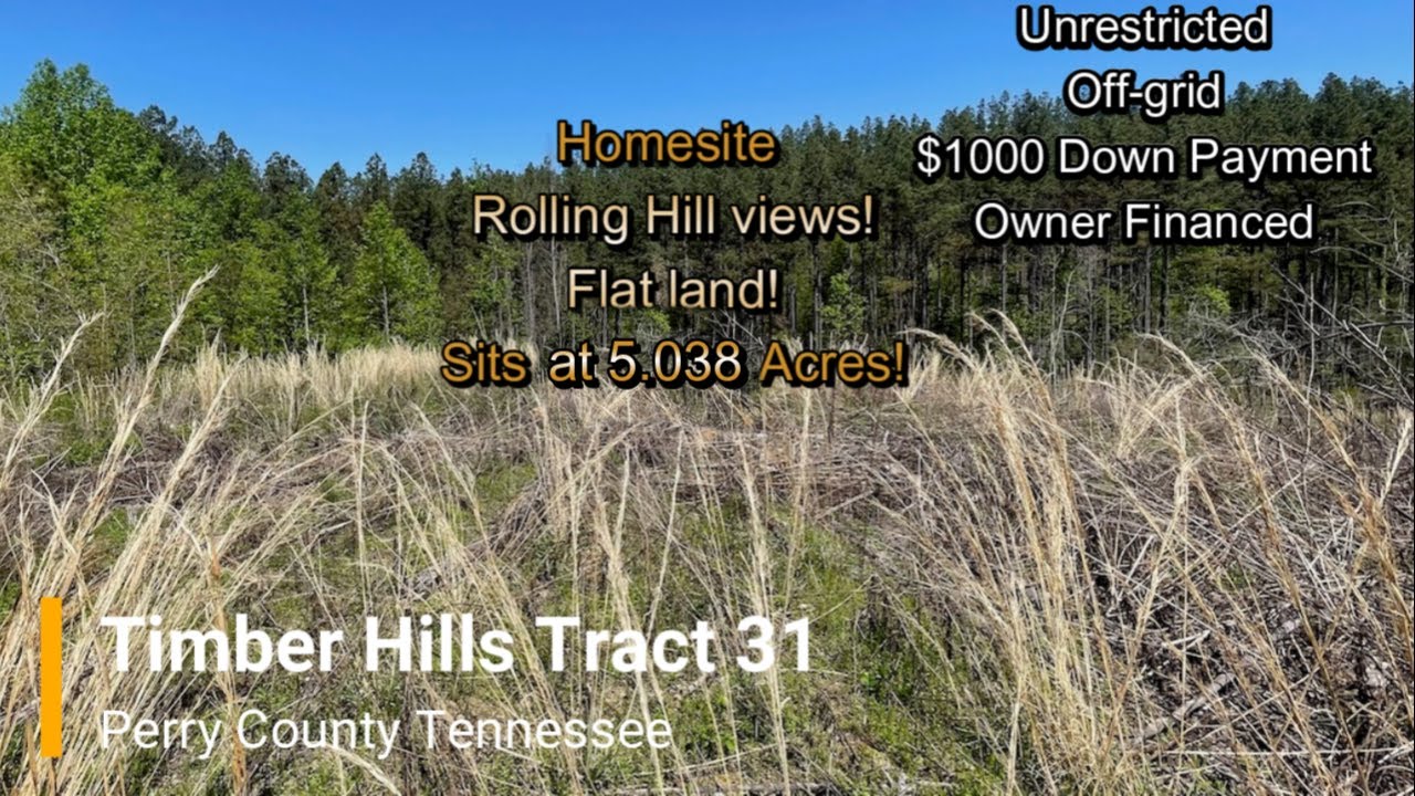 360 Footage! Timber Hills Tract 31 - YouTube