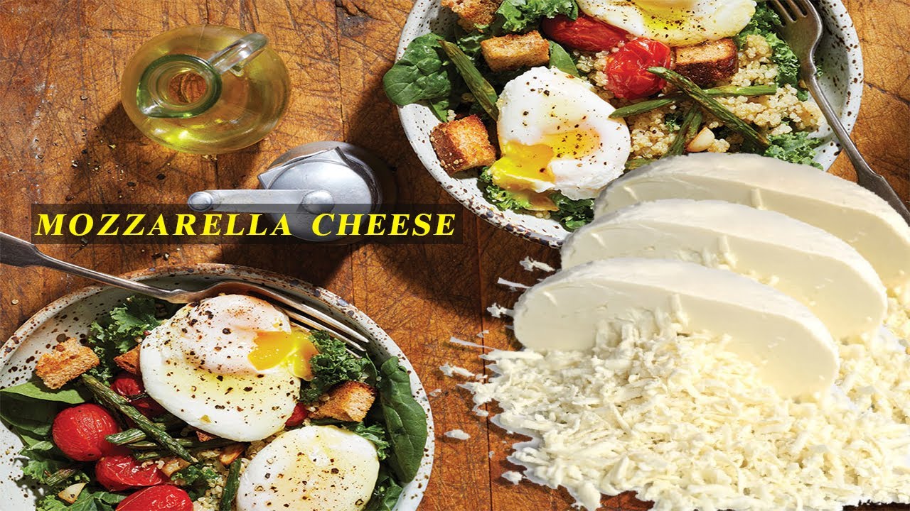 Mozeralla cheese | എനി ചീസ് കടയിൽ നിന്നും വാങ്ങേണ്ട | Perfect cheese ...