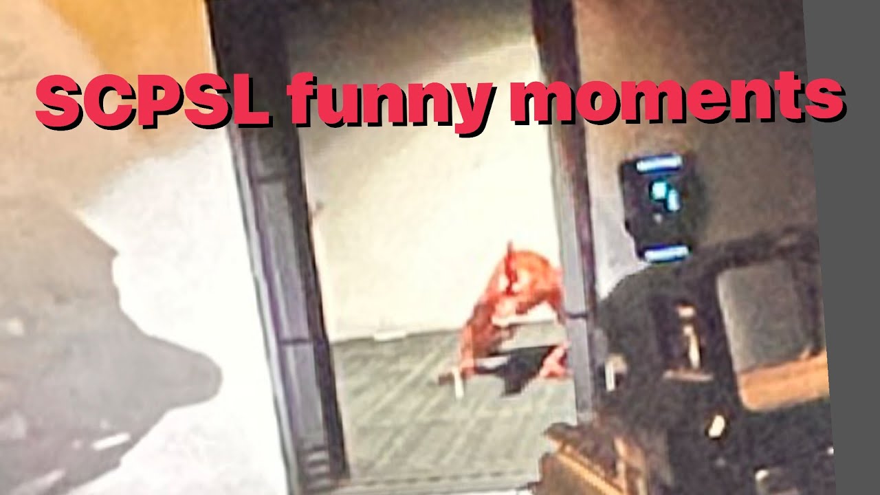 SCPSL funny moments - YouTube