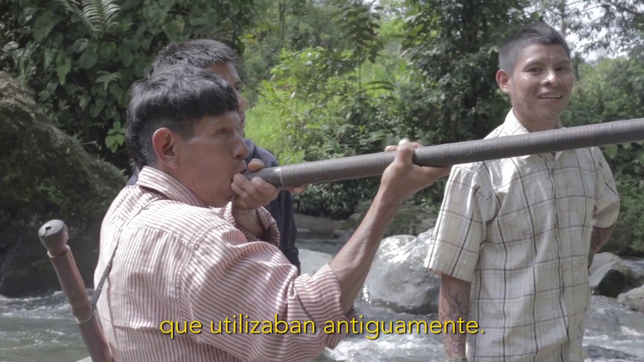 Bodoqueras - Ū - YouTube