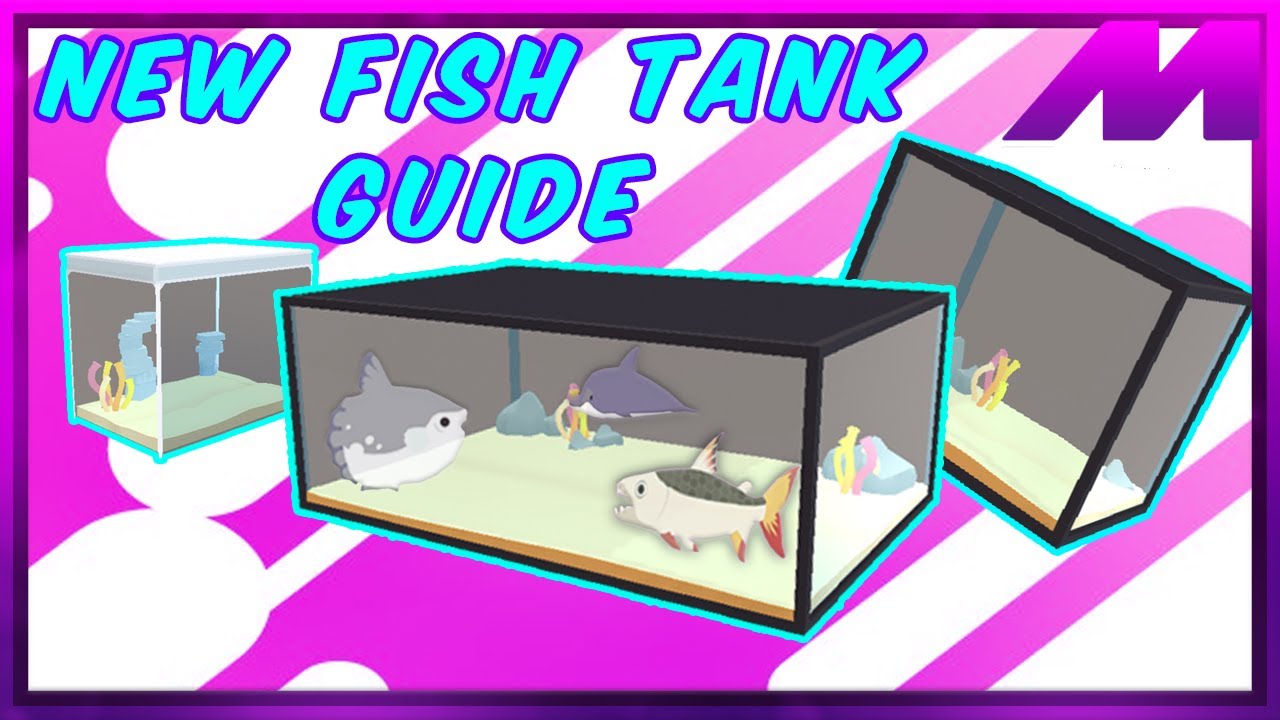 Play Together | New Fishing Tank Update Guide | Tips to buy the Best ...