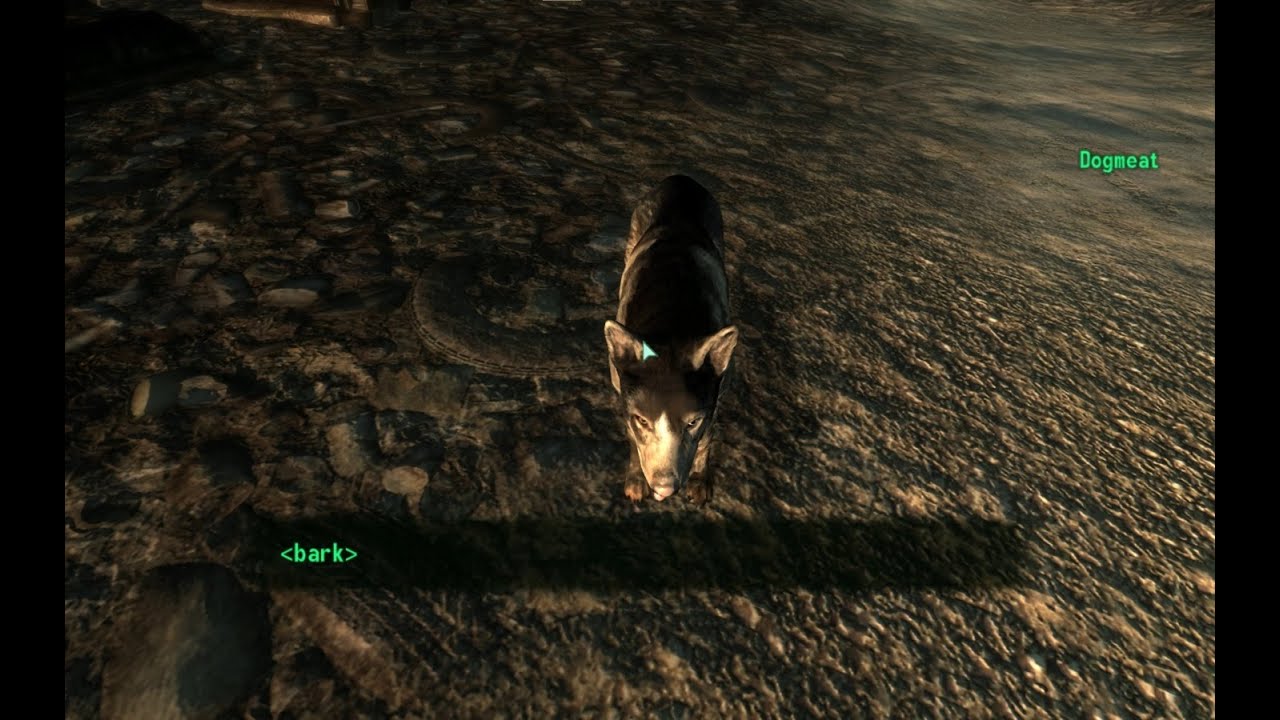 Fallout 3 Playthrough Part 22 (Finding Dogmeat) - YouTube