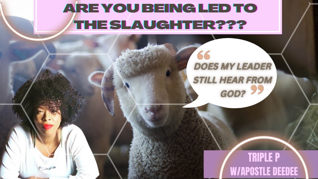 ARE YOU BEING LED TO THE SLAUGHTER??? 🐑🐑🐑 (ignorant leadership) - YouTube