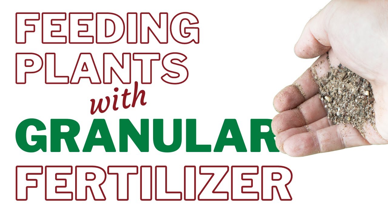 How To Apply Granular Organic Fertilizer to Your Vegetable Garden - YouTube