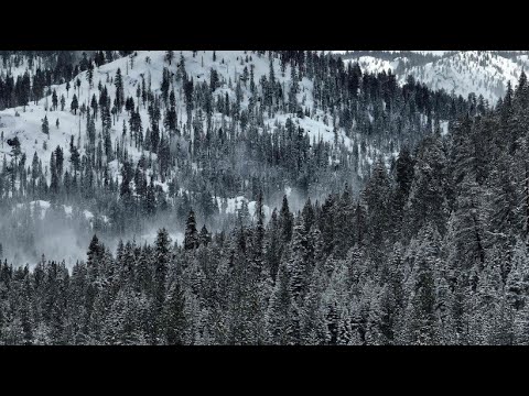 Schnee-Rekord in Kalifornien: Größte Schneemenge seit Beginn der ...