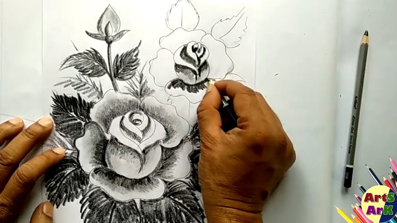 2 Roses Drawing easy | Rose easy drawing with pencil shading | How To ...