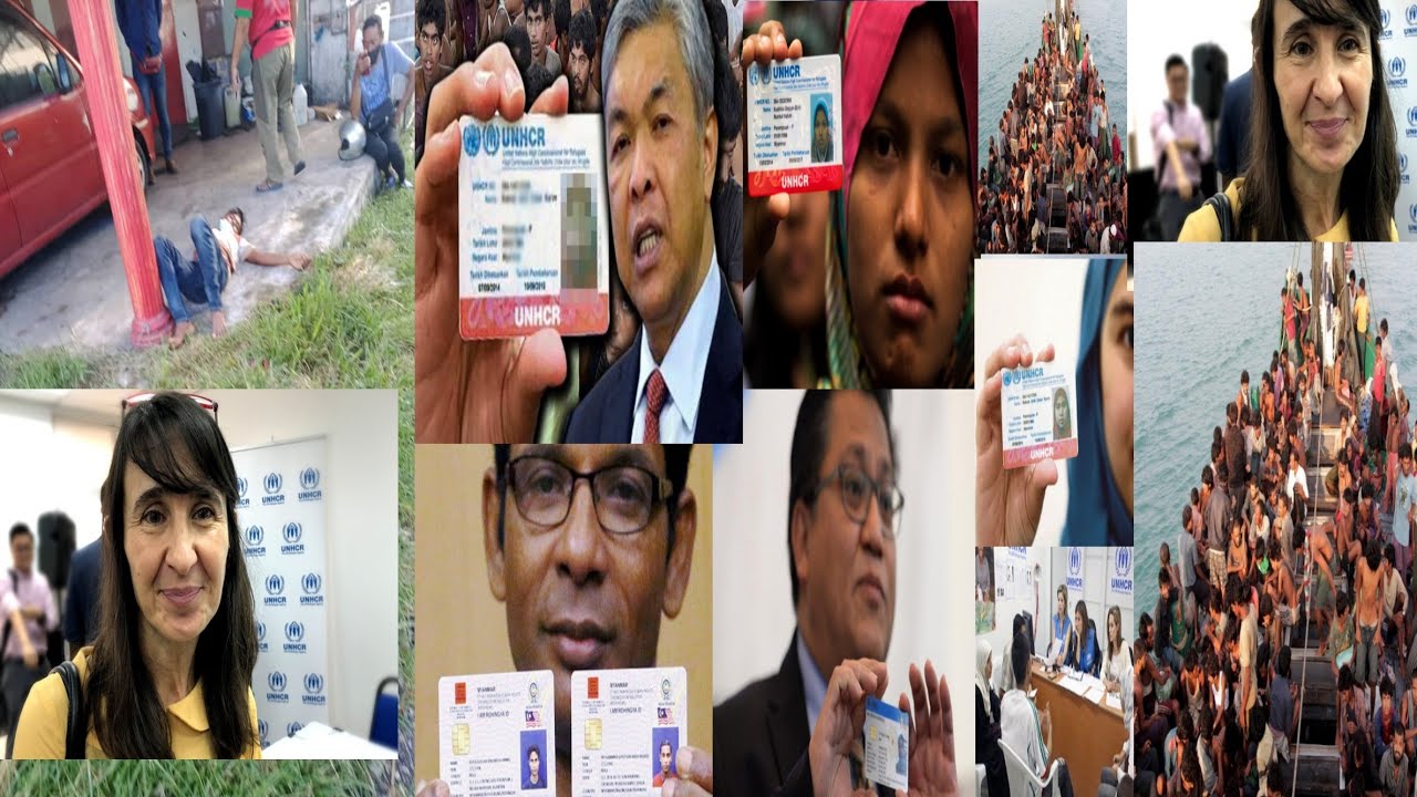 How to New registration request card unhcr 29 today may 5 2021 - YouTube