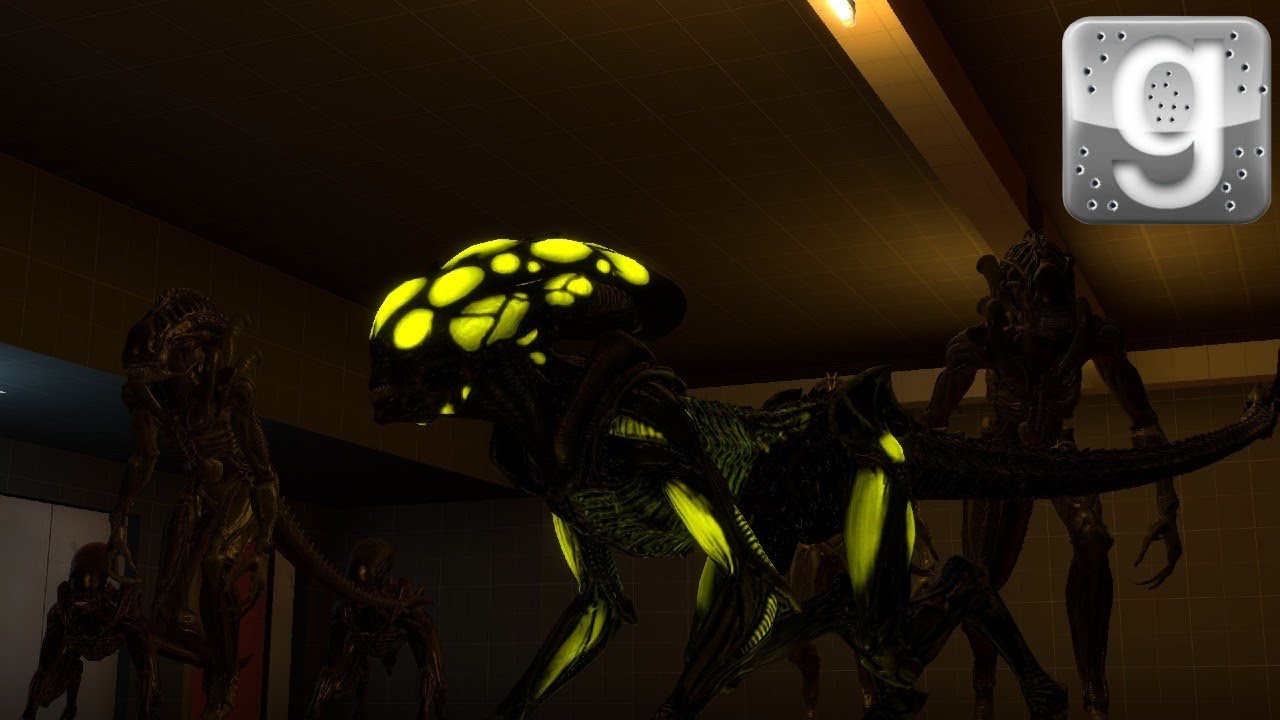 Xenomorphs Nextbot Takes on The National Guard Military Snpc's Garry's ...