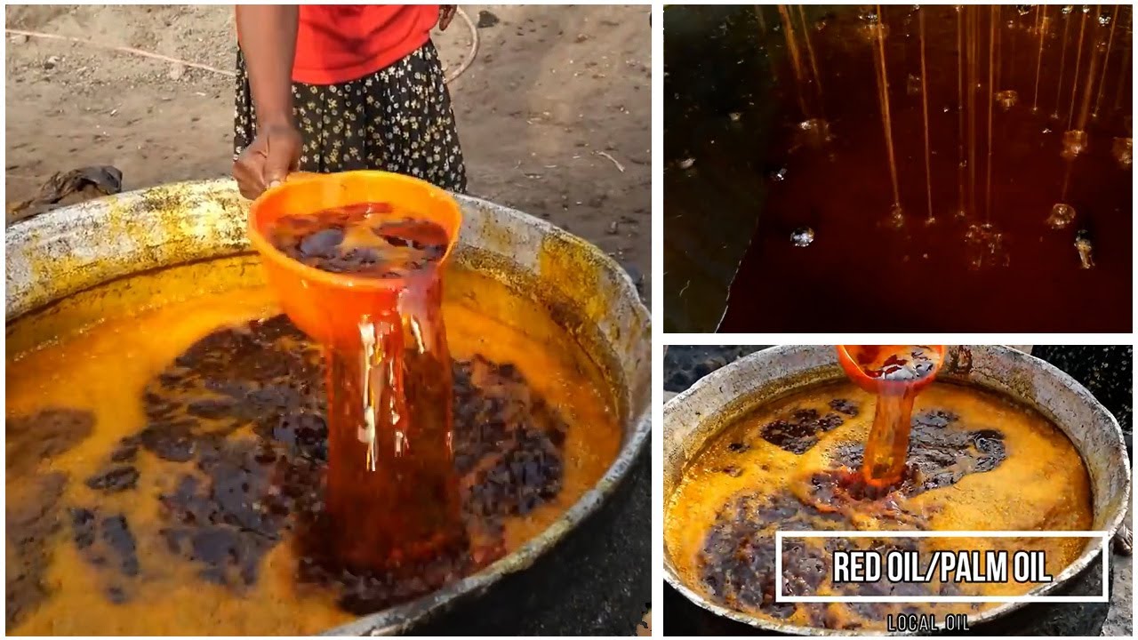 How to make Authentic Palm Oil / Red Oil in Ghana - West Africa ...