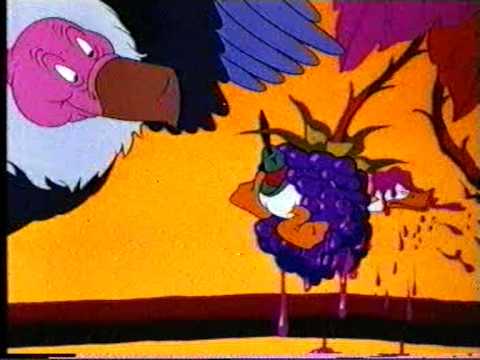 Donald der falsche Condor