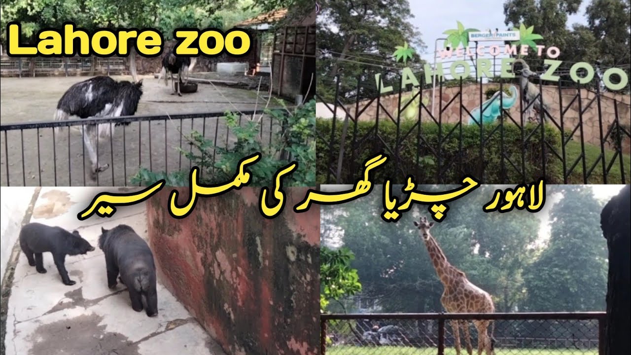 Lahore Zoo 2023 || Wlidlife Park In Lahore pakistan || Visit To Bage ...
