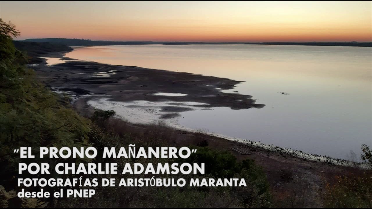 "Prono mañanero" de Charlie Adamson. 17 de mayo 2020 - YouTube