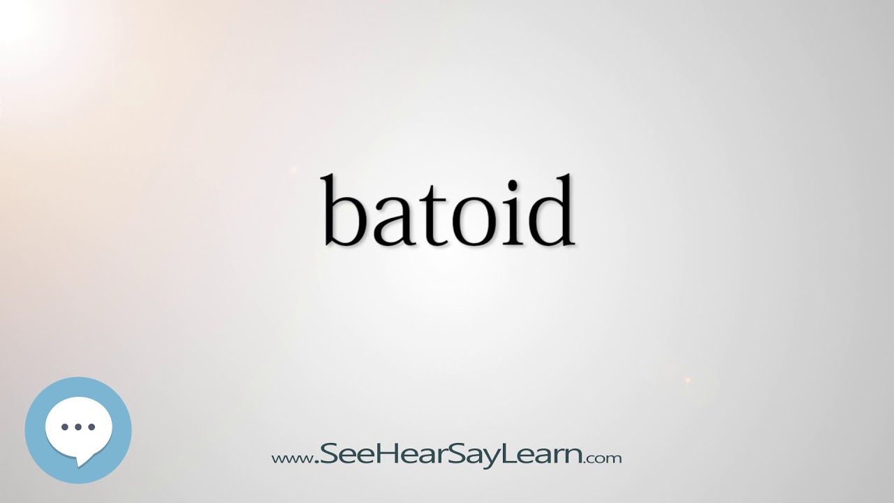 batoid - YouTube