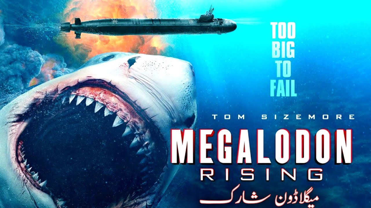 Megalodon: The Largest Shark That Ever Lived |میگلاڈون شارک| Horizons ...
